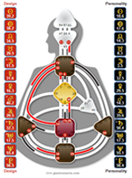 Home - Genetic Matrix